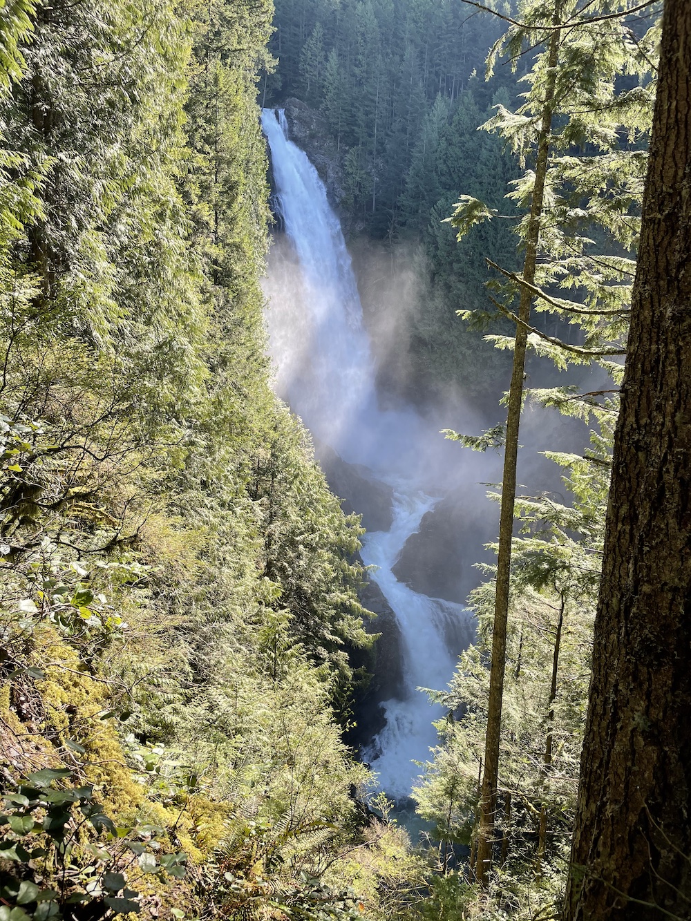 Amazing Waterfall Hike with Kids
